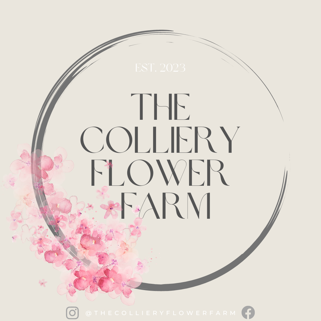 Workshops - The Colliery Flower Farm